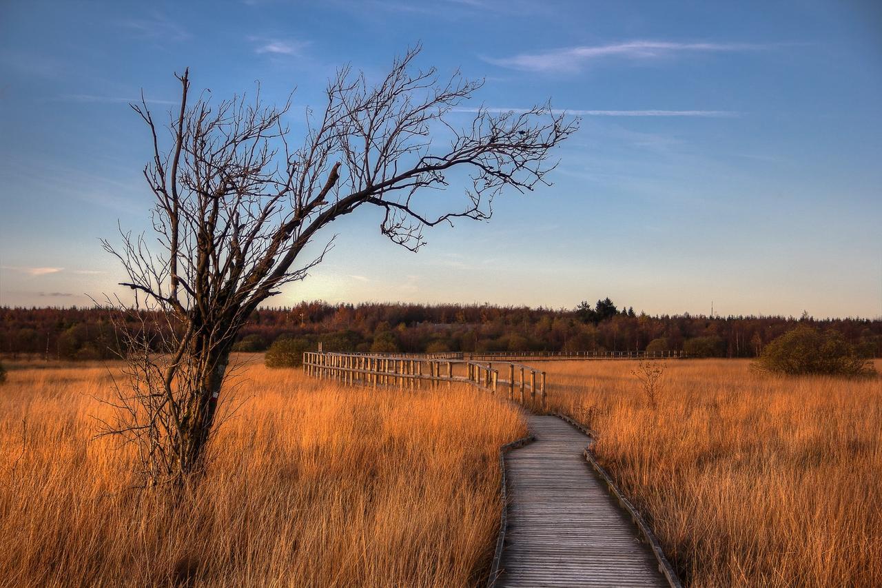 Hotel Domaine Des Hautes Fagnes Ovifat, Belgique - réserver maintenant ...